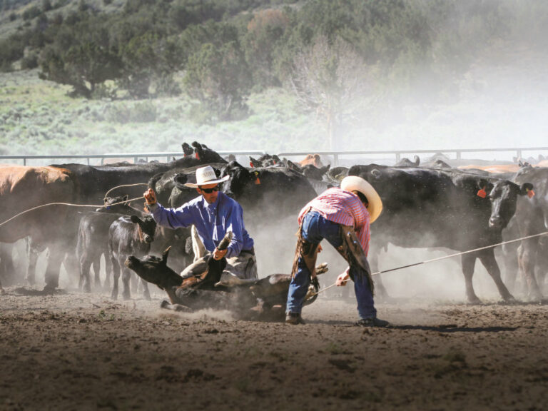 The Investment Issue: Winecup Gamble Ranch - The Land Report