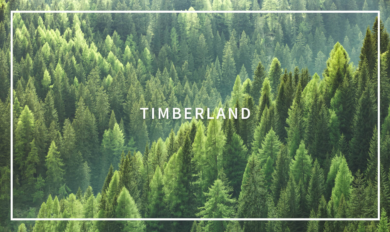 Homepage - The Land Report